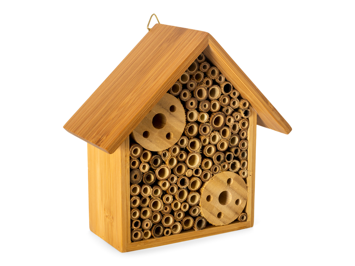 The Bug Hut - Topflite NZ