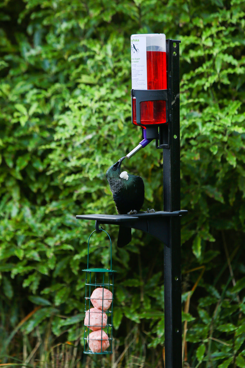 Peka Power Pack Feeder Nest - Topflite NZ